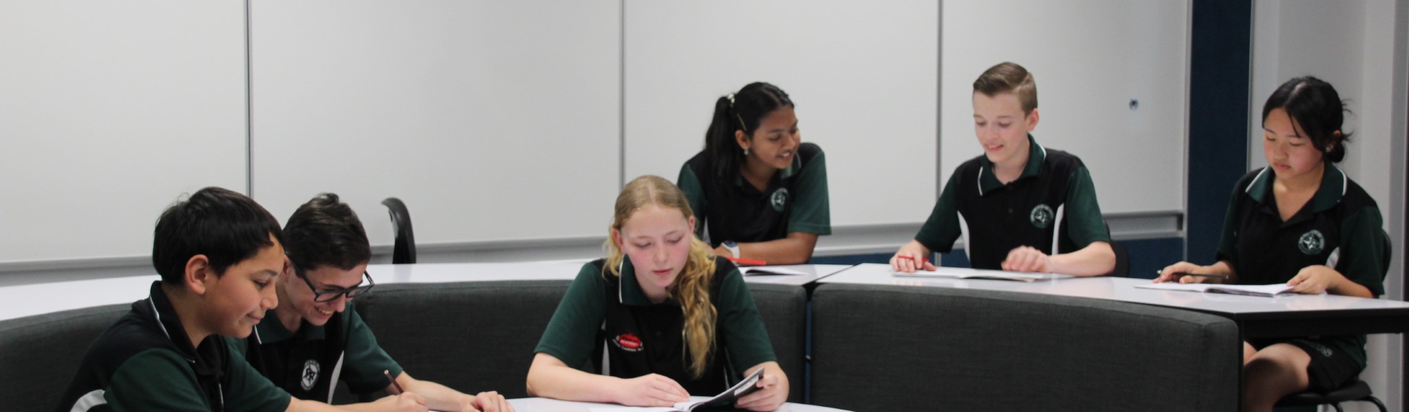 Park Ridge State High School